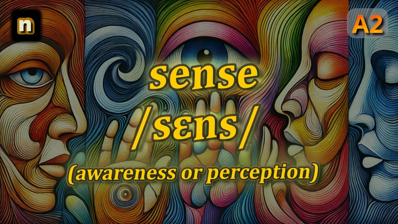 [n] Sense meaning (awareness or perception) with 5 examples - YouTube