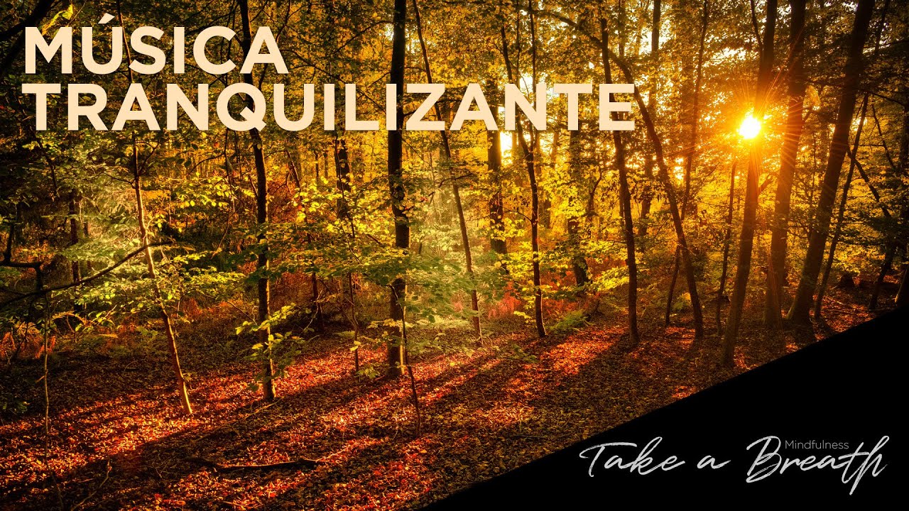 Música para tranquilizar, siente la tranquilidad de la naturaleza ...