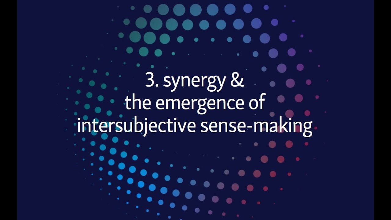 3. Synergy & the emergence of intersubjective sense-making - YouTube