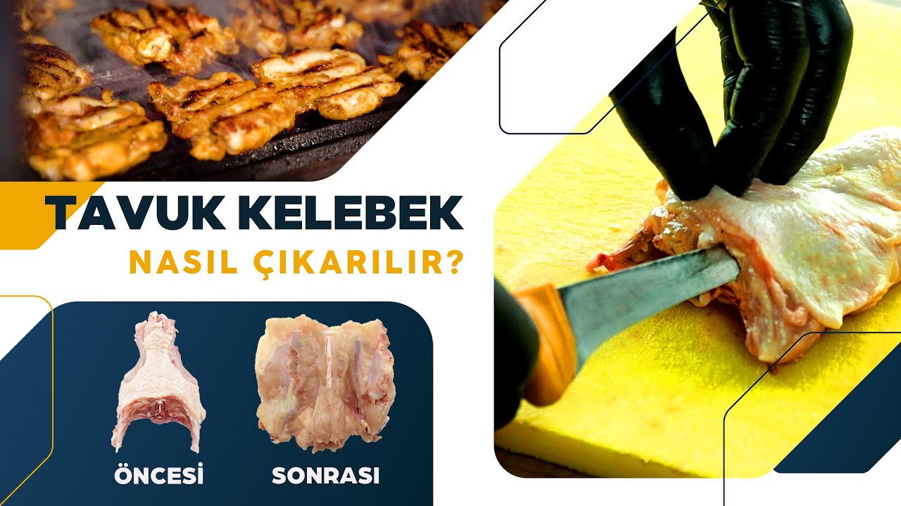 Tavuğun En Lezzetli Yeri TAVUK KELEBEK! Nasıl ÇIKARILIR? Nasıl ...