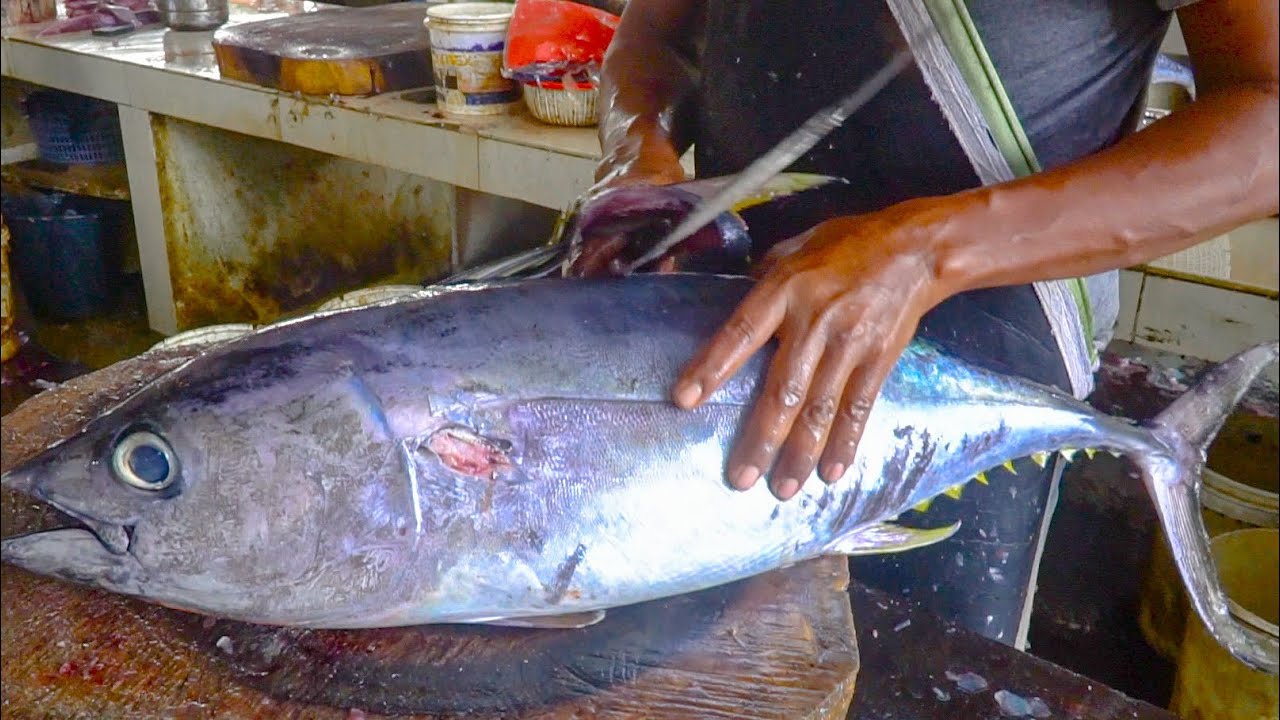 AMAZING LIVE FISH CUTTING SKILLS IN FISH MARKET 2023 || PERFECT FISH ...