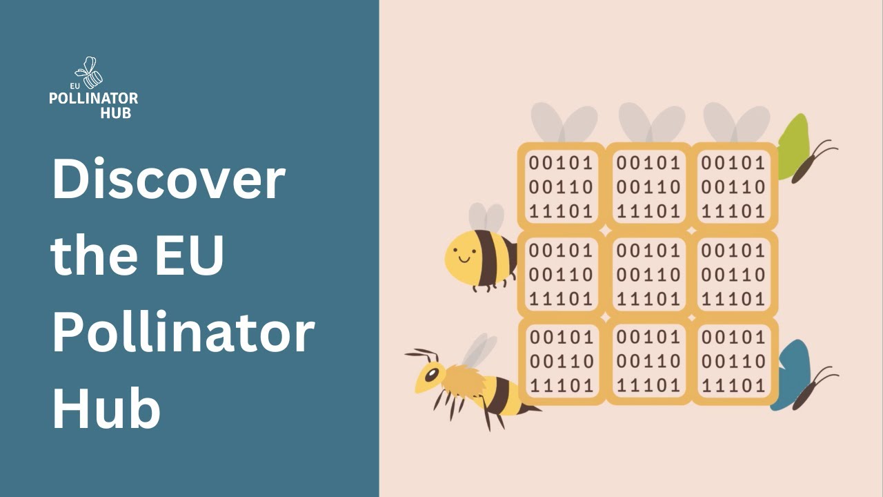 Discover the EU Pollinator Hub - YouTube