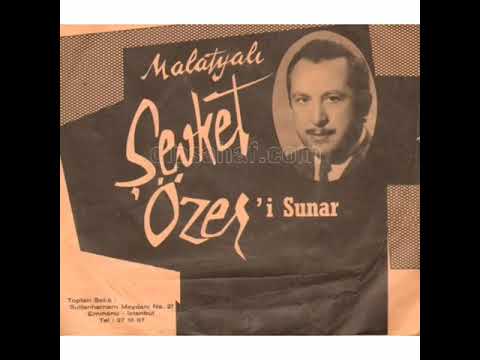 Şahin Özer gerçekleri müzik piyasasının gerçek patronu