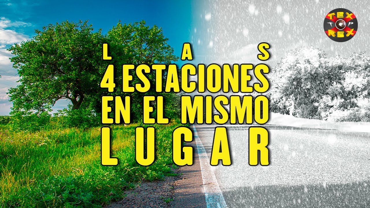 Naturaleza De Las Cuatro Estaciones Más De 10 000 Imágenes Gratis De