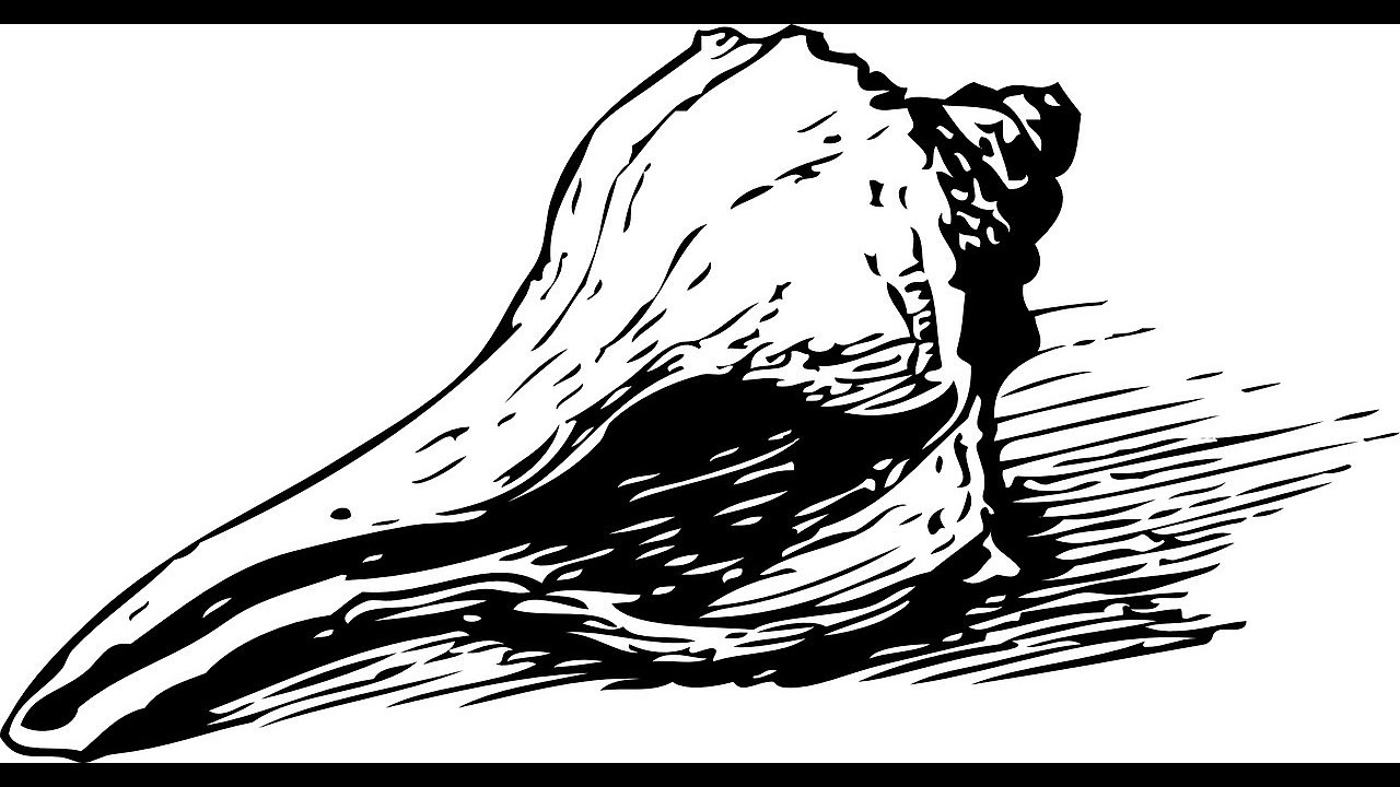 Shankh naad with echo effect | Powerful conch Shell sound | blowing ...