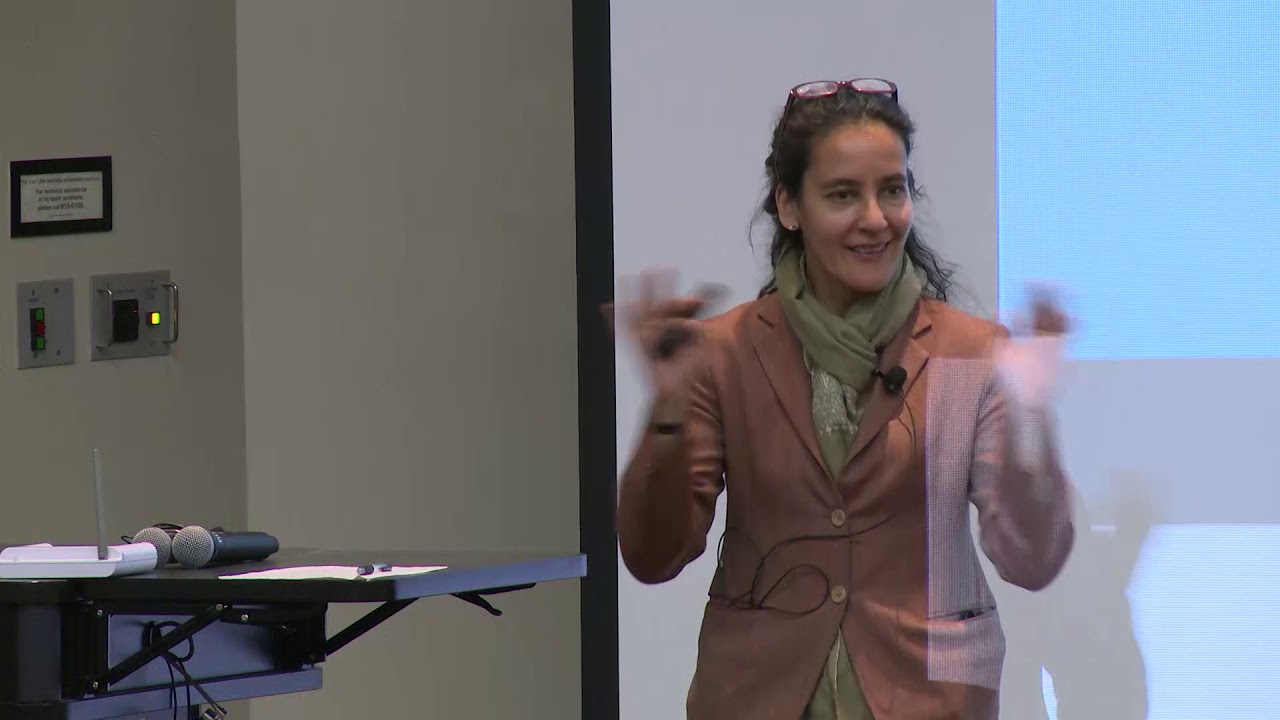 Samina Raja | “Rustbelt Radicalism Revisited” - YouTube