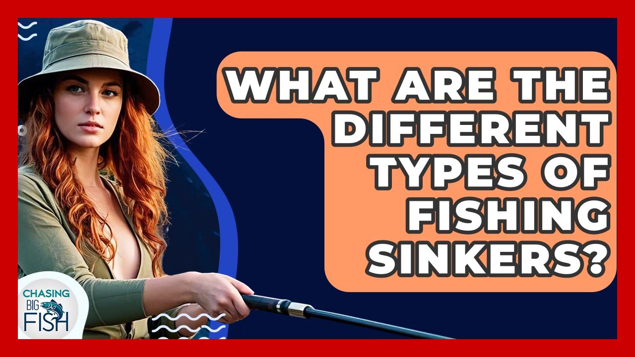 What Are The Different Types Of Fishing Sinkers? - Chasing Big Fish ...