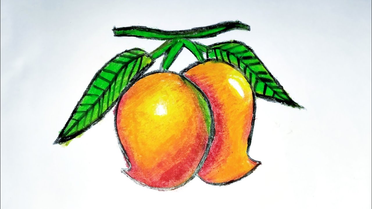 Mango drawing /How to draw mango easily /mango drawing for kids step by ...