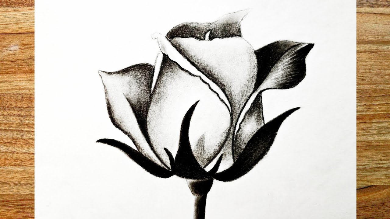 Flower design with black pen technique - YouTube