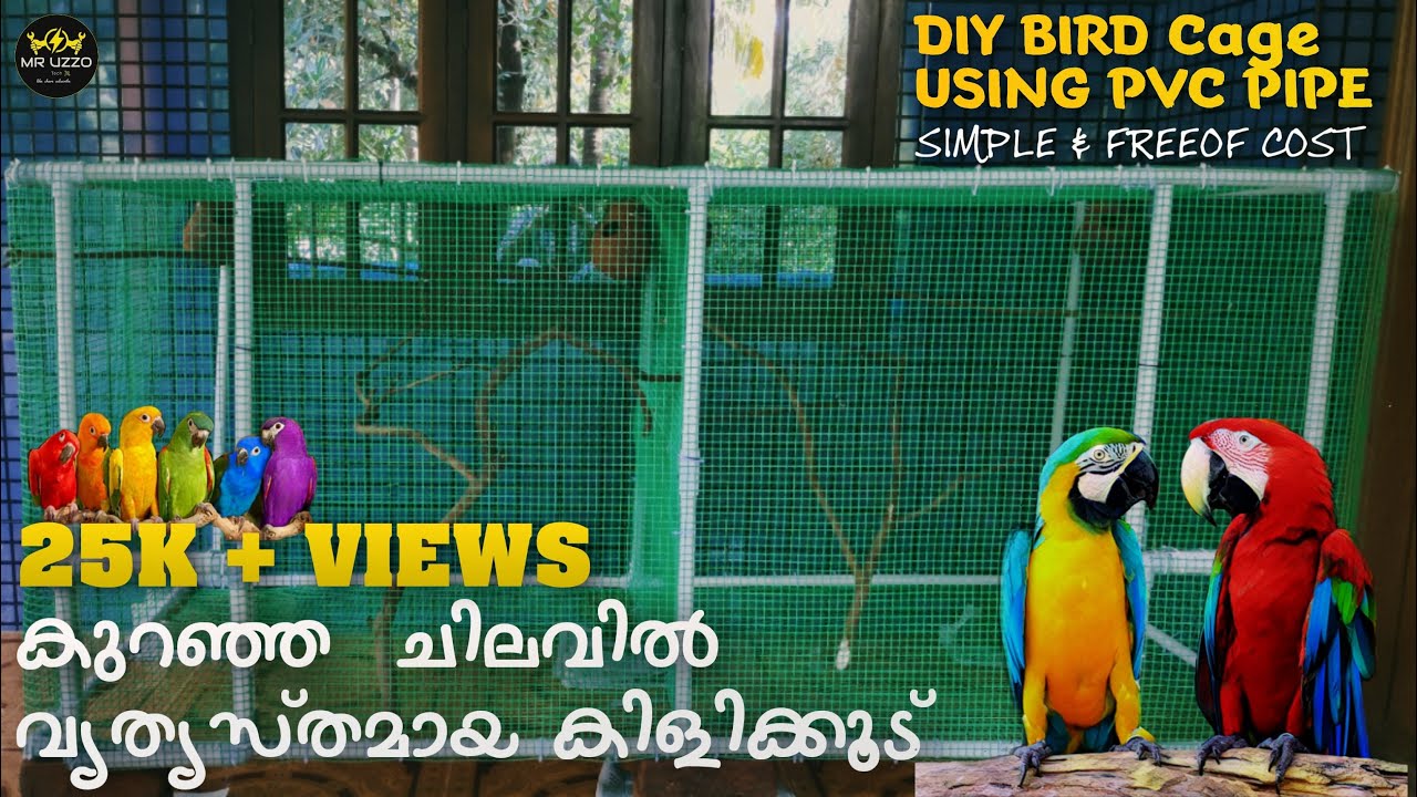 How to make bird cage easily at home with pvcpipe ||പിവിസി പൈപ്പ് ...
