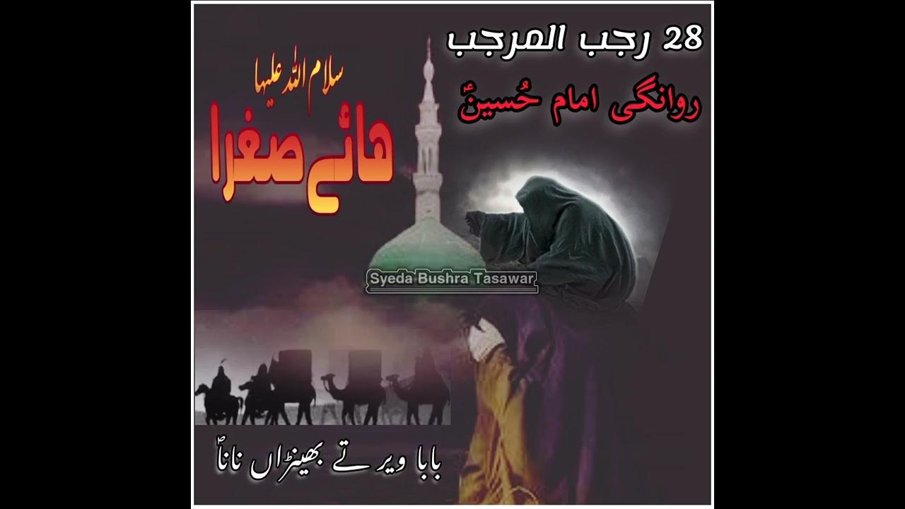 28 Rajab rawangi Imam Hussain a.s what's app status @kaneez_e_Sakina_S.A #28rajab #rawangimadina ...