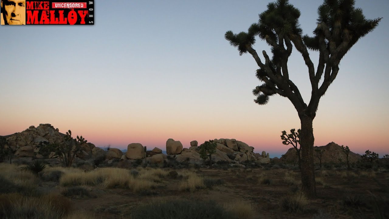 Joshua Tree Park Vandalized During Shutdown - YouTube