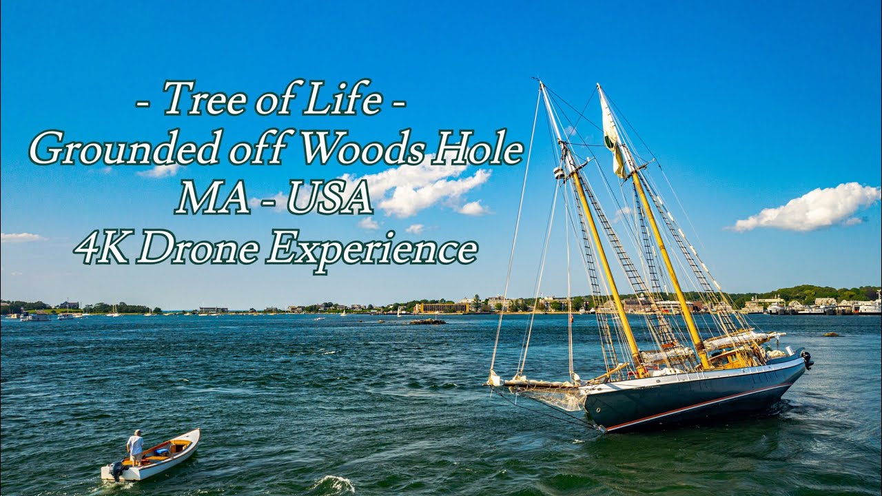 Grounded Schooner Tree of Life - 4K Drone Experience! - YouTube