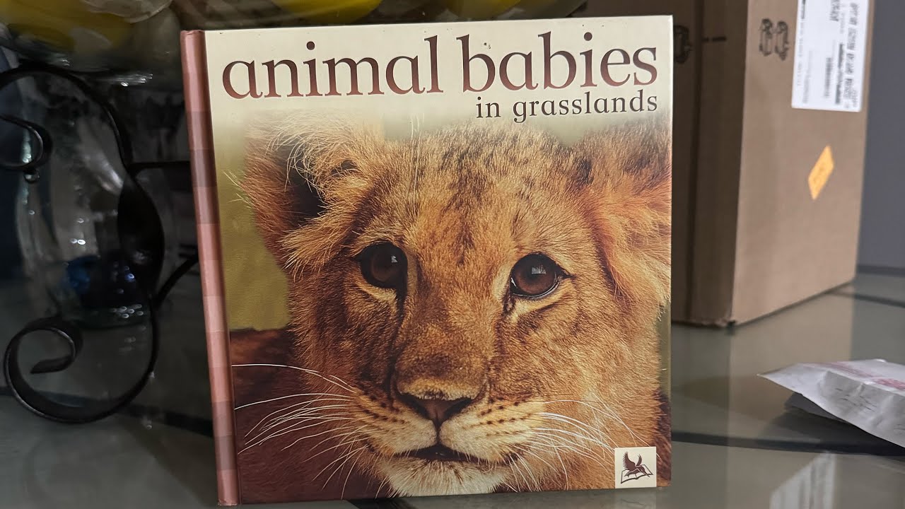 The reading of Animal Babies in Grasslands - YouTube