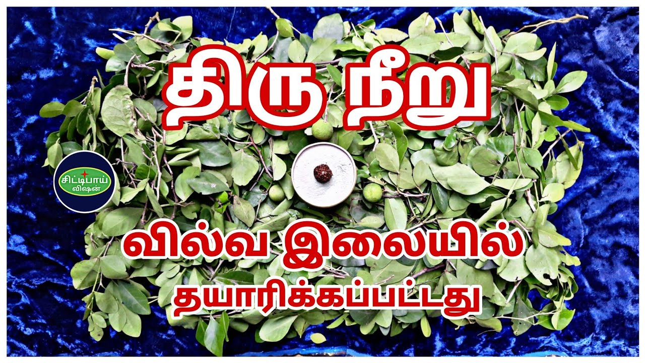 வில்வ இலையில் திருநீறு | Vilva ilayil Thiruneeru - YouTube