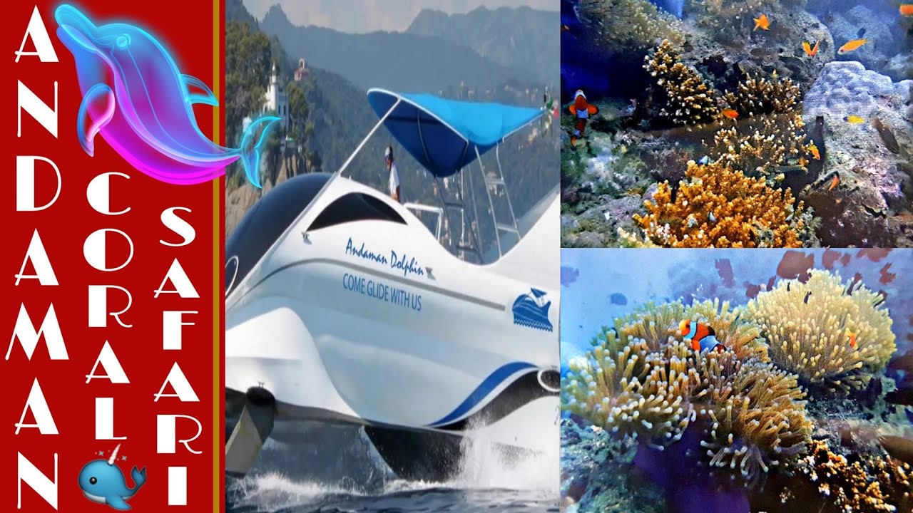 Andaman Dolphin Speed Boat | Coral Safari | Glass Bottom Boat Ride ...
