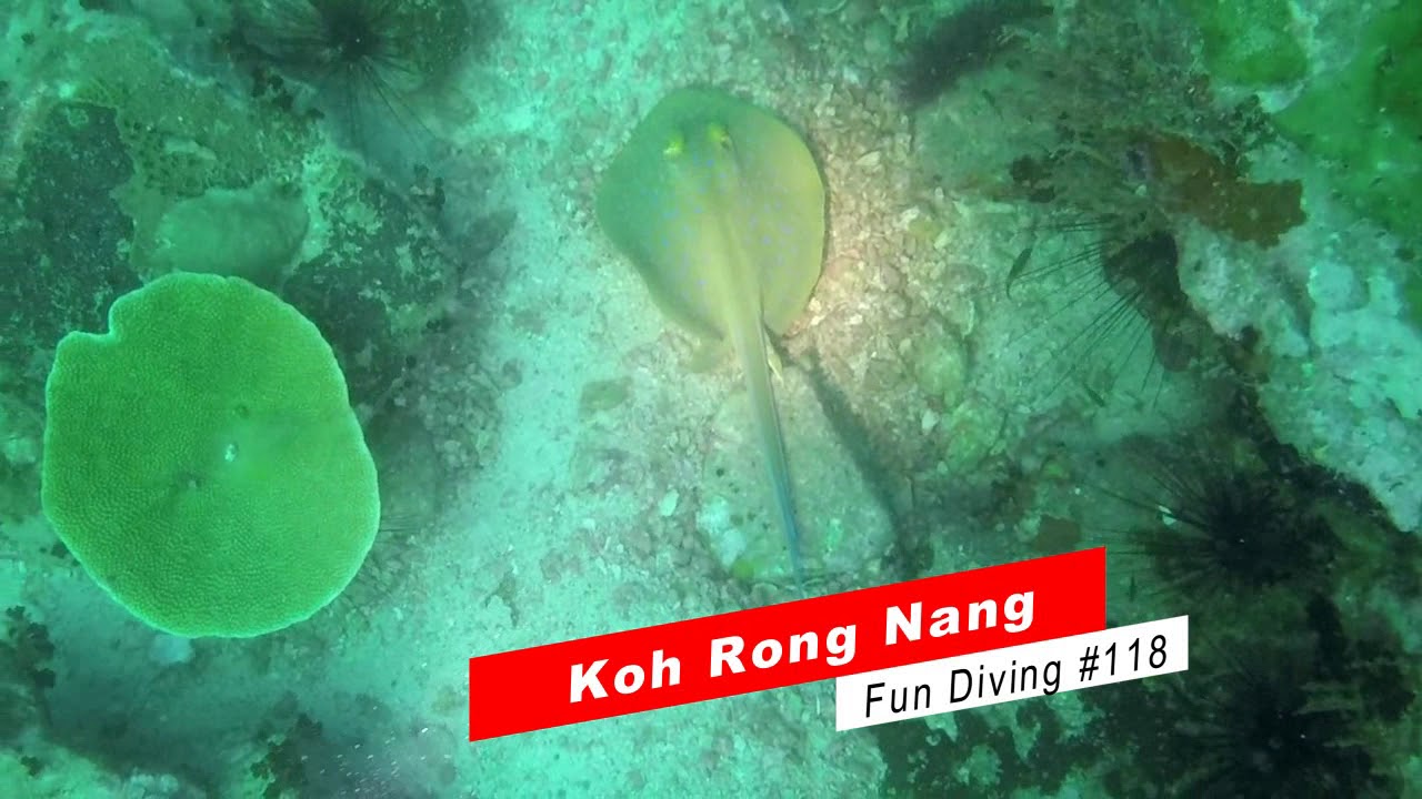 Koh Rong Nang [Fun Diving *118] - YouTube