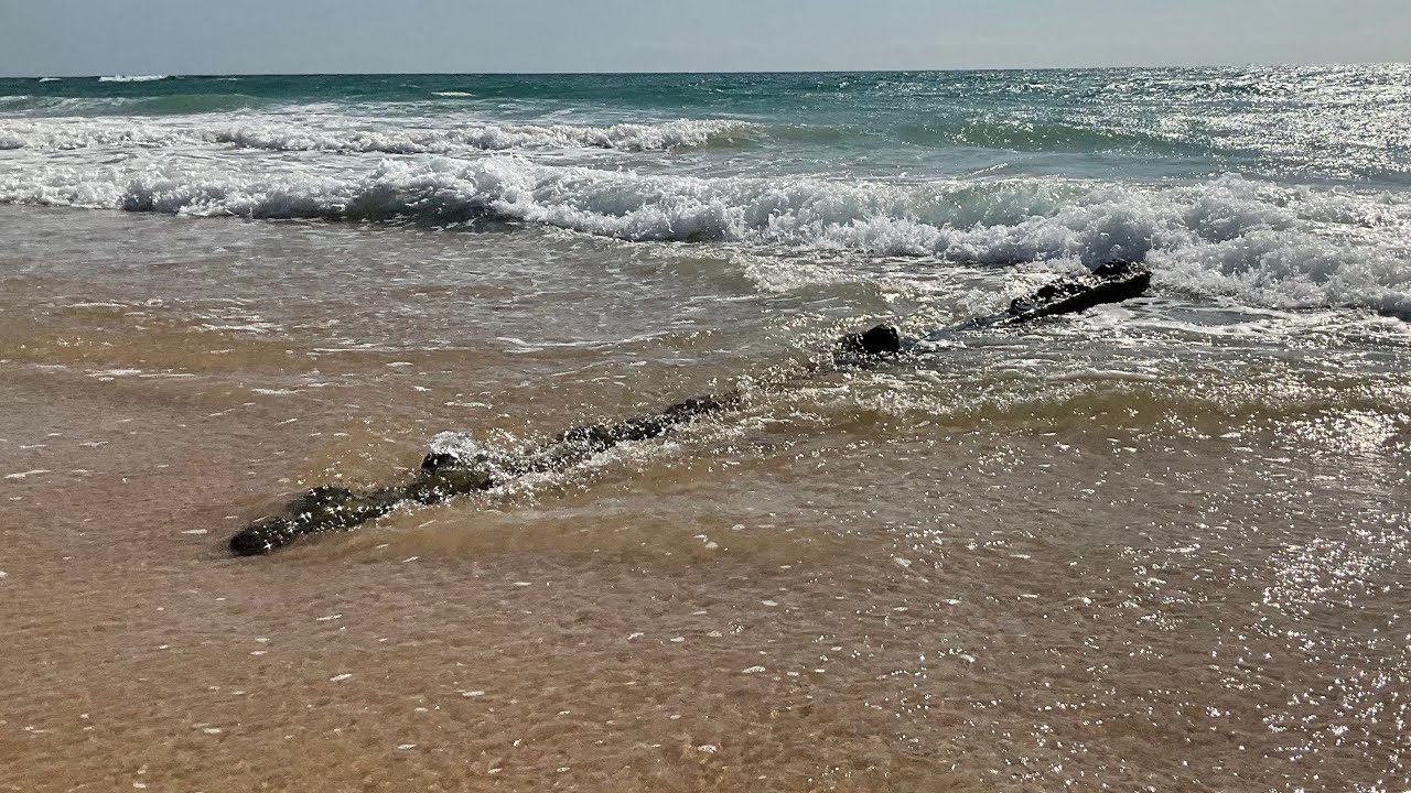 Fixing BFDI Rule 34 Part 10! (1 year anniversary) - YouTube