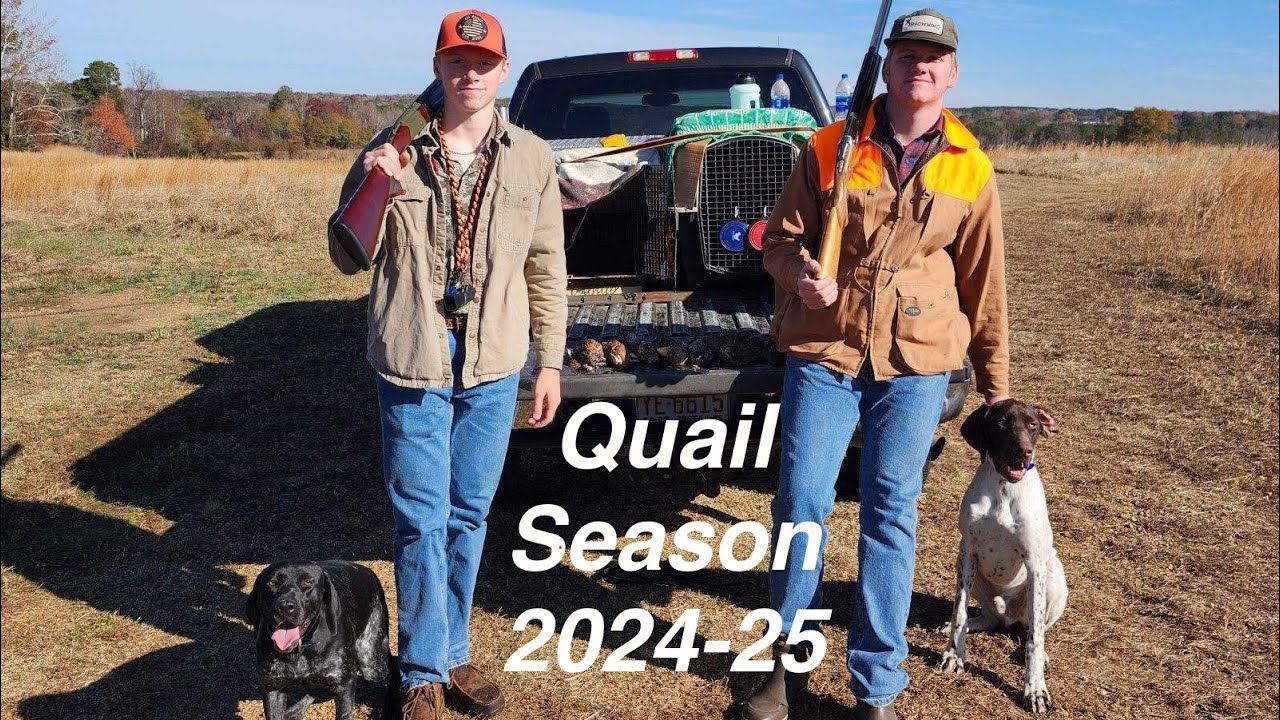 Bird hunting recap 2025 with 5H kennels Darling Darla and 5H Beau ...