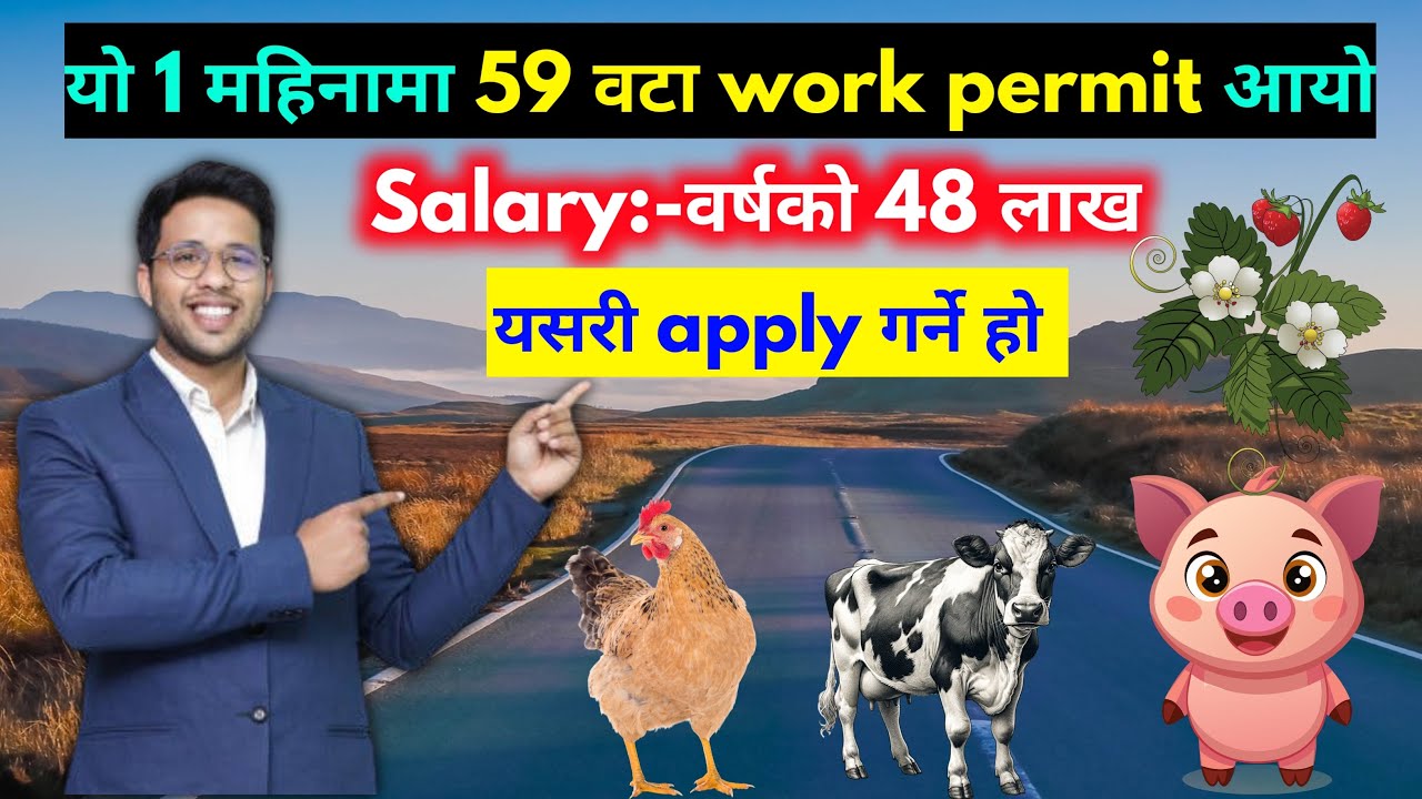 Ireland working visa for nepali || Ireland work permit visa 2025 ...