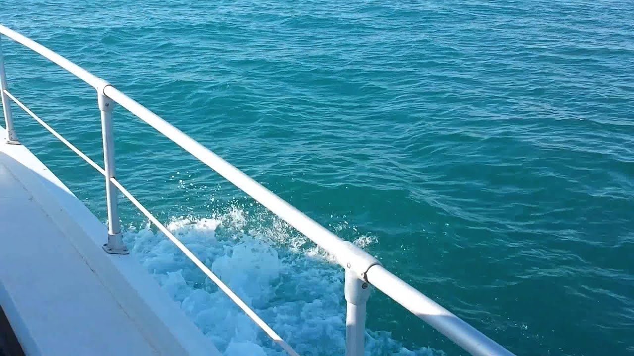 Eucala Guy Couach 1600 1 - YouTube