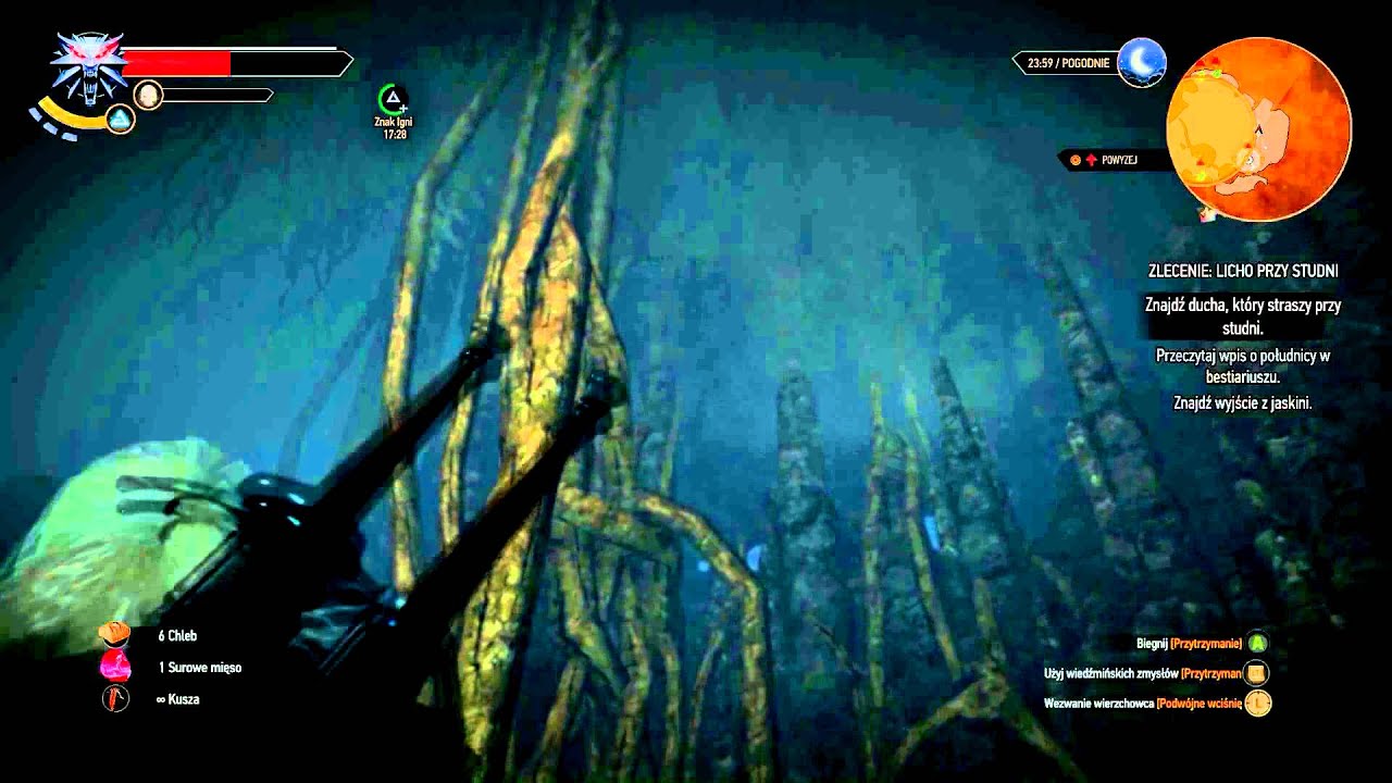 The Witcher 3 Bug glitch in water - YouTube