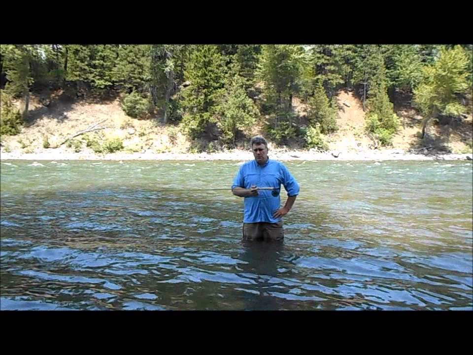 A Review of the Sage Accel Fly Rod - YouTube