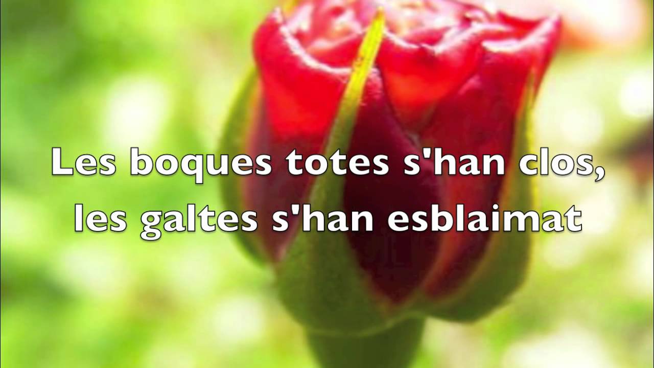 Nuria Rial- catalan song-Lo jardí de la mort - YouTube