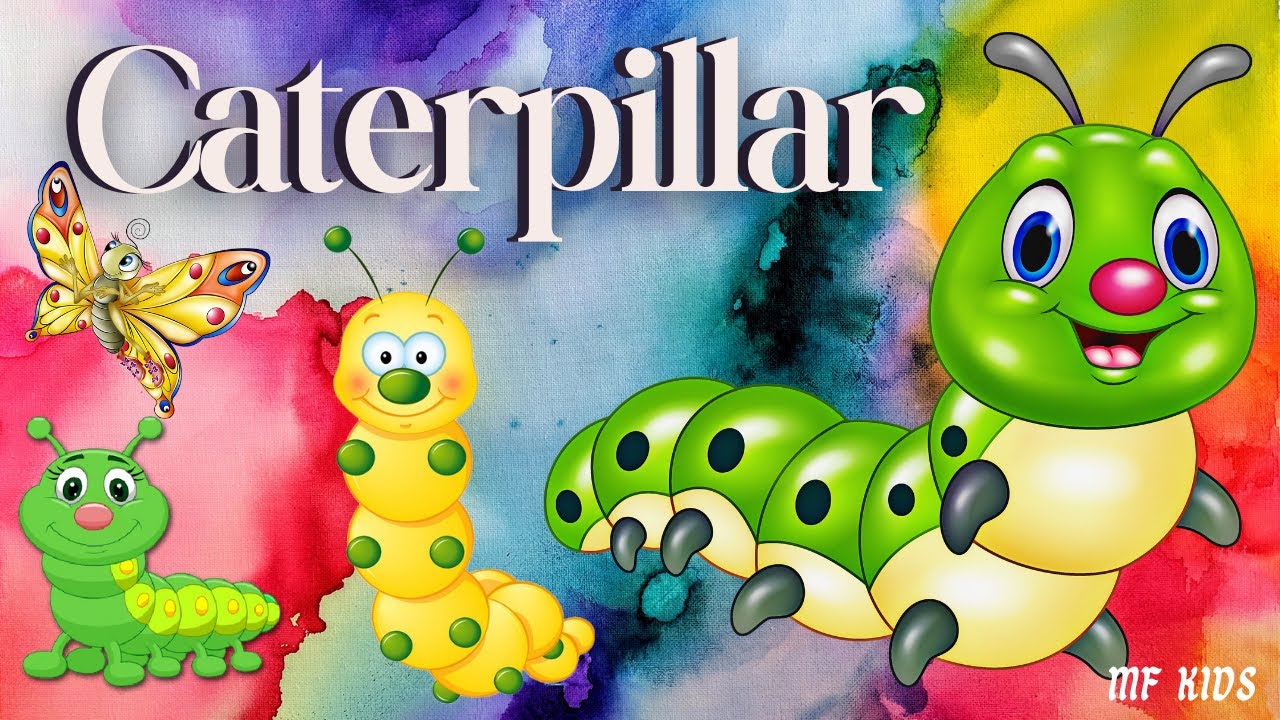 Kids Song Caterpillar Insects | Caterpillar Caterpillar song ...