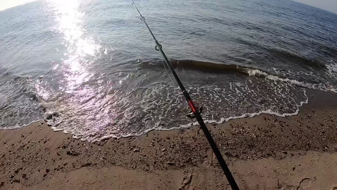 INSANE SURF FISHING (FLUKE AUGUST 2018) - YouTube