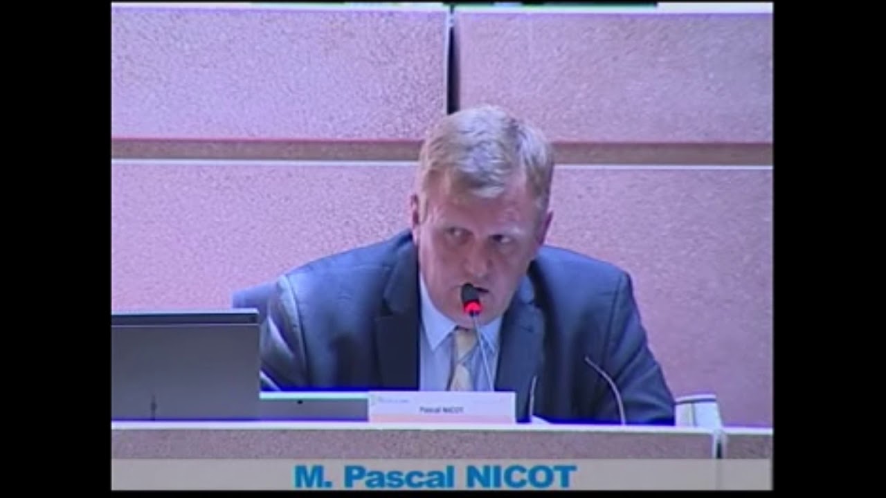 Pascal Nicot sur la stratégie d'achats — Conseil régional des Pays de ...