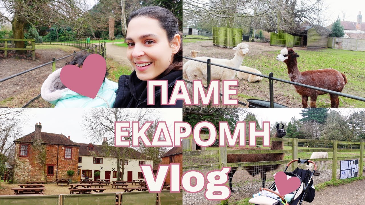ΠΑΜΕ ΕΚΔΡΟΜΗ ΣΕ ΦΑΡΜΑ ΓΙΑ ΠΡΩΤΗ ΦΟΡΑ 🤍☁️🪿🦙|VLOG - YouTube