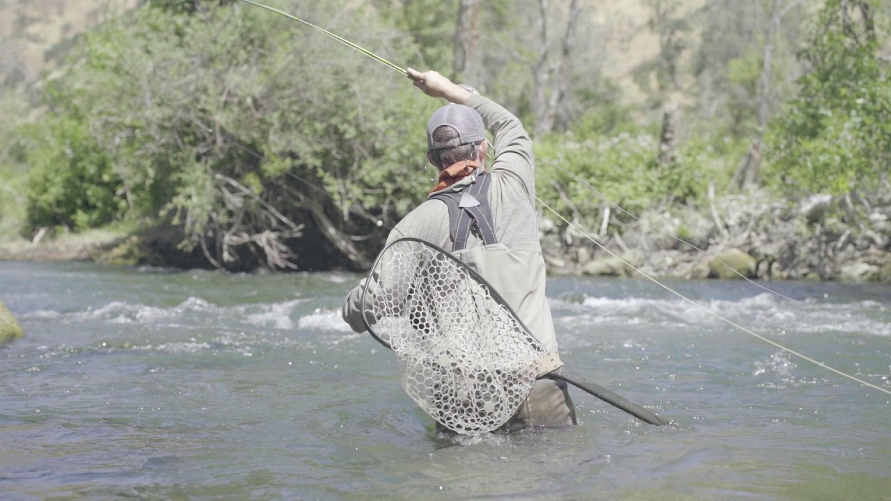 Guide Box Direct Putah Creek w Jordan Romney - YouTube
