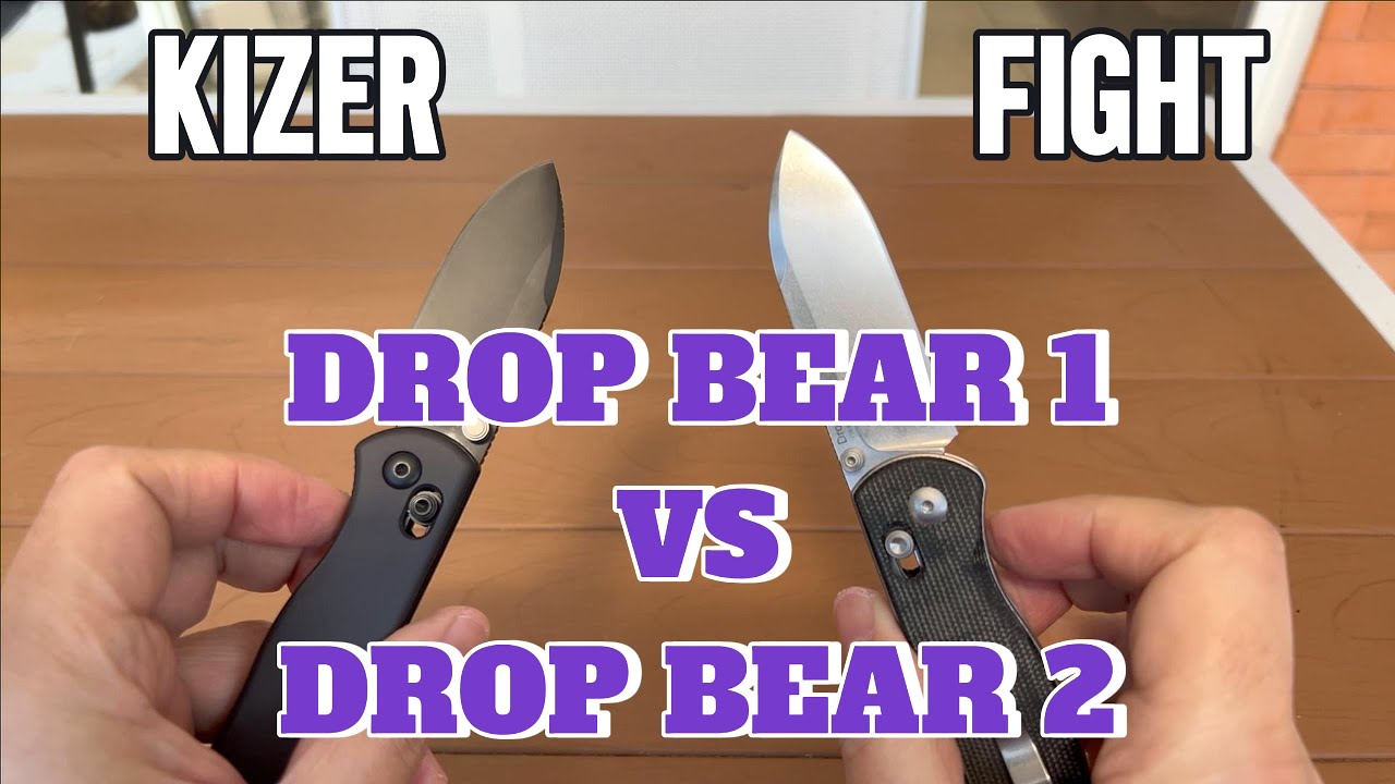 In depth comp of the OG DROP BEAR VS DROP BEAR 2 🐨 - YouTube