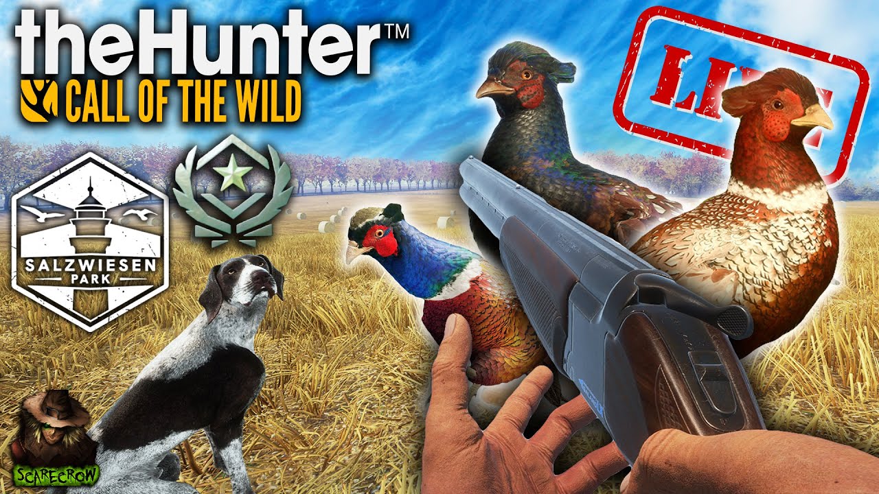 NEW UPDATE GRIND! Lets Get Great One Pheasant #2 On Salzwiesen Park! Call of the wild - YouTube