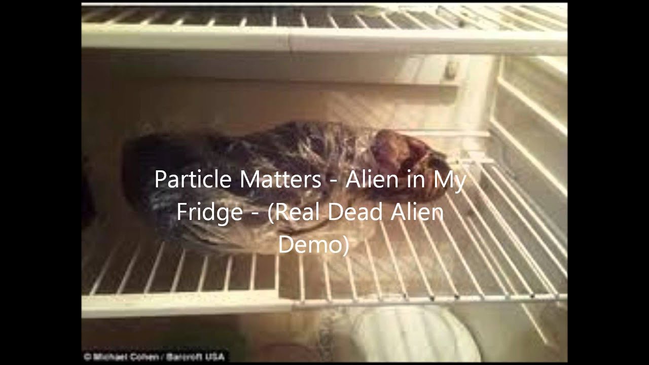 Particle Matters - Alien in my Fridge - (Real Dead Alien Demo) - 2011 ...