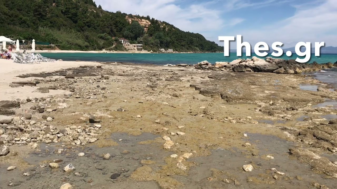Αμπωτη στην Χαλκιδική: Δεκάδες μέτρα μακριά η θάλασσα από τις ...