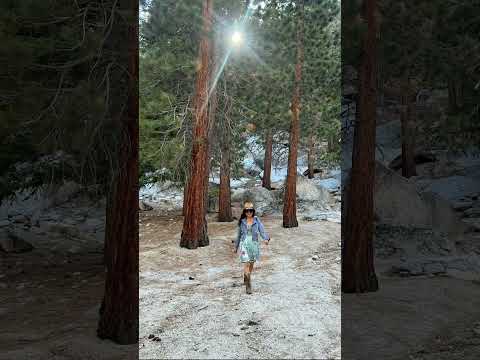 Samedi paisible 🧘‍♂️Peaceful Saturday at 6,000ft 🏔️📍Mount Whitney #mtwhitney #nature #mountains