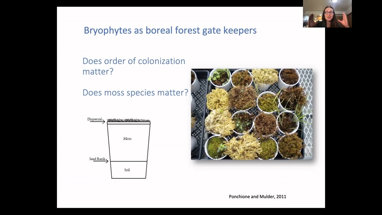 Getting into the Weeds: Fire, Invasive Plants and Disturbance ...