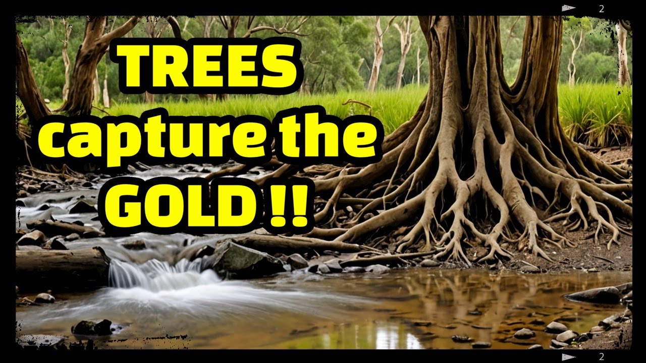 Tree-Root Crevice GOLD — Hidden in the Shade - YouTube
