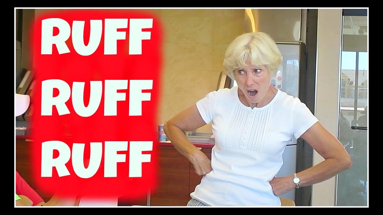 WHO LET THE DOGS OUT? (video 355) - YouTube