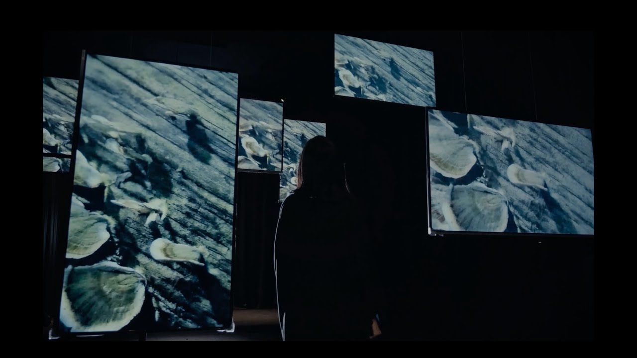 2023 Ultra Combos Showreel - YouTube