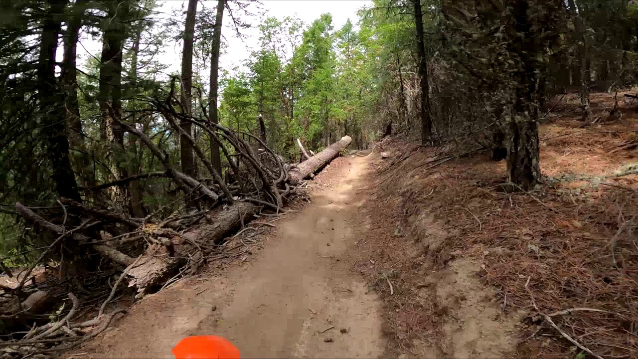 Johns Peak start of Sutter trail and some random singletrack. 5-10-2020 ...
