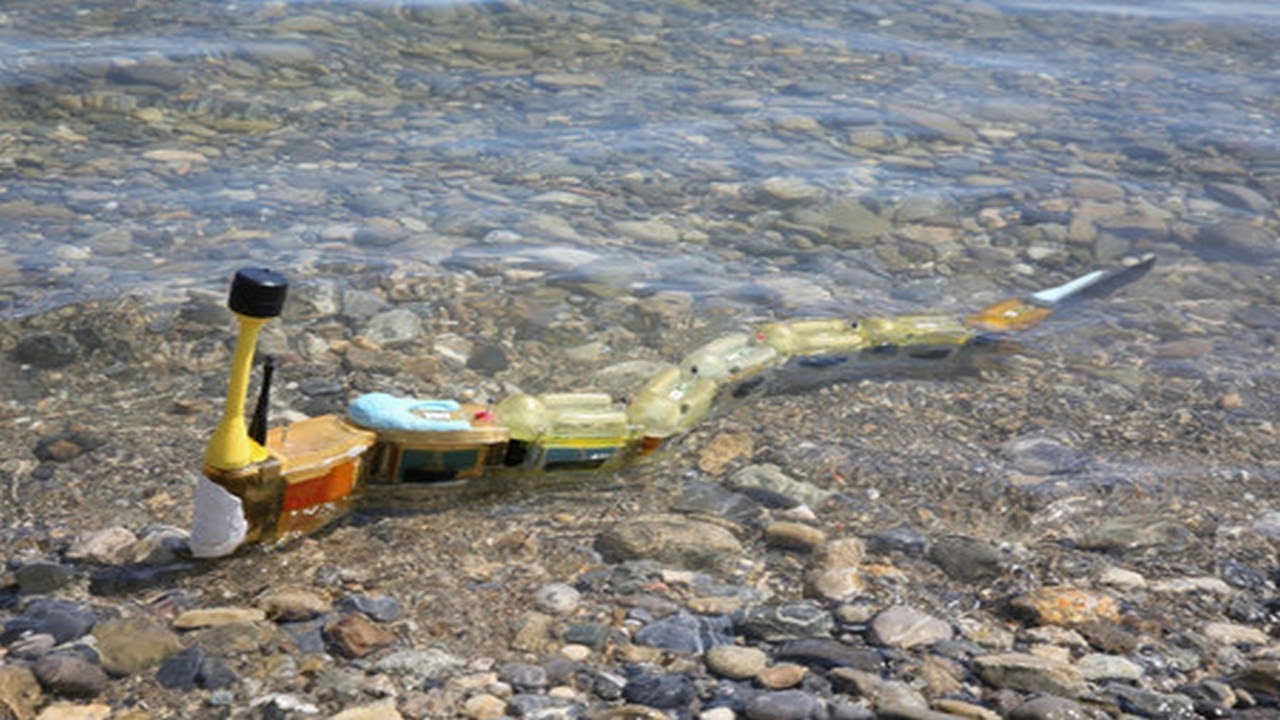 Robotic eel has been designed by researchers: to detect aquatic ...