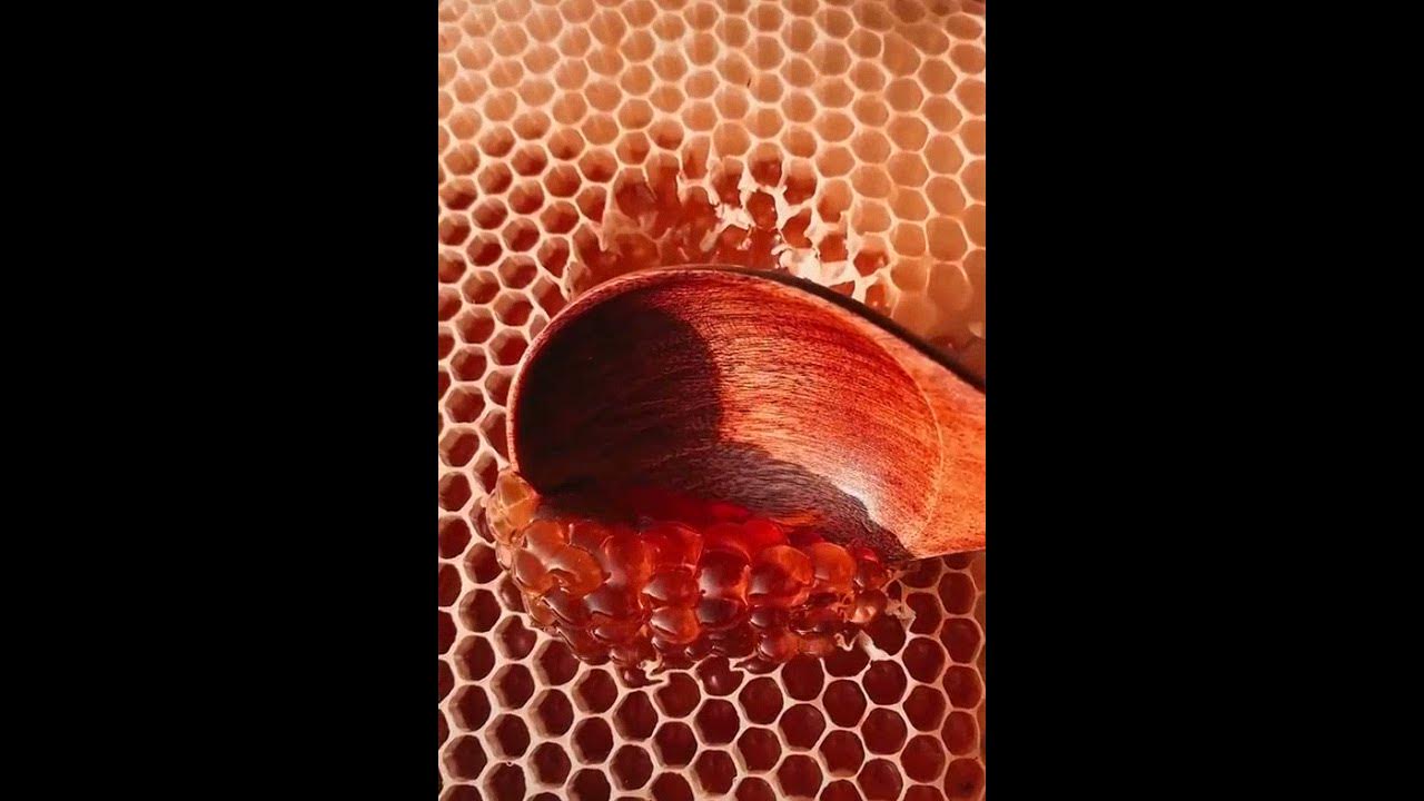 How Do You Say Honey In Your Language YouTube how-do-you-say-honey-in-your-language-youtube