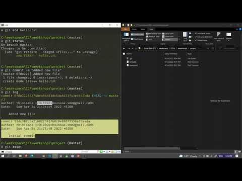Git and GitHub for Beginners - YouTube