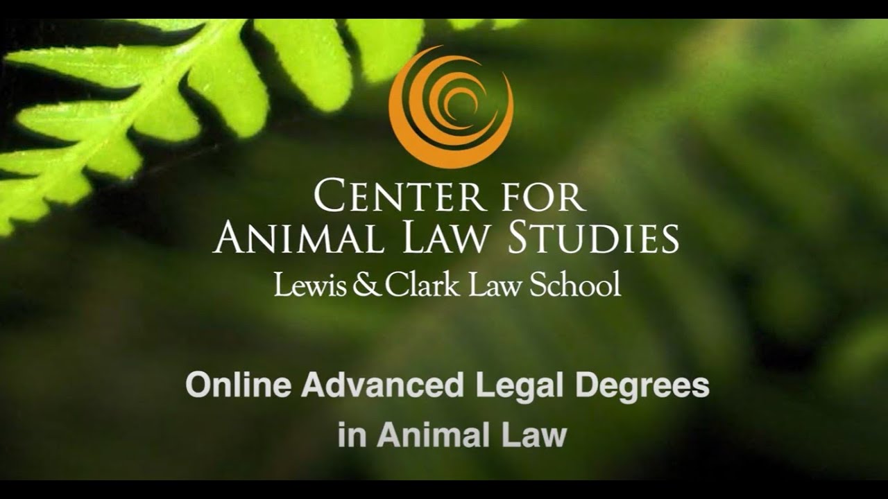 Online Advanced Legal Degrees in Animal Law - YouTube