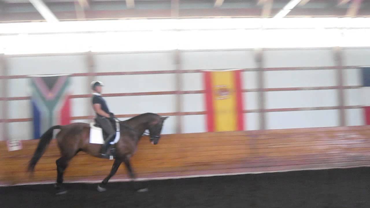 Taz Clinic with Wanja Gerlach canter right lead - YouTube