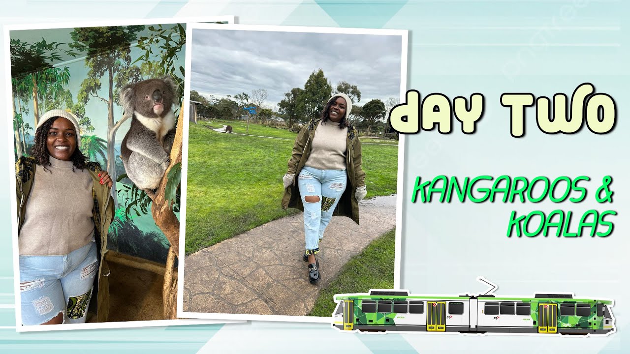 Day 2 in Australia- Seeing Kangaroos and Koalas for the 1st time in my ...