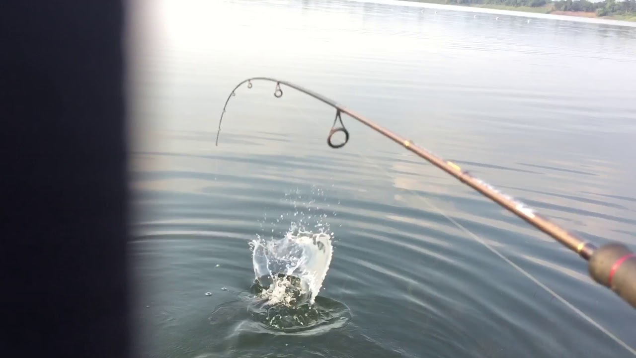 ป๊อก แป๊ก ปึก ปัก ปี๊ดดดดด #DuraKING NATUNA MICRO BRAIDED x4/0.4/13LBS ...